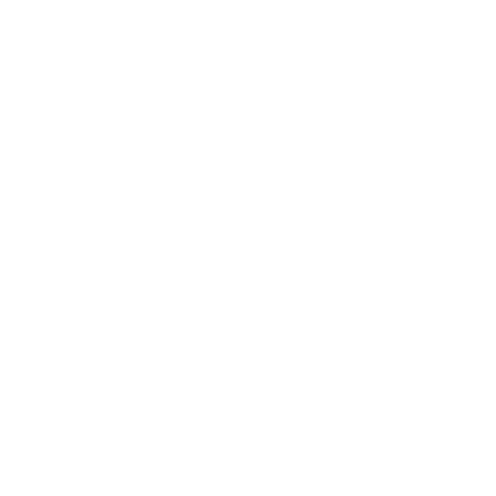 Professional Entertainment Services | Flamingo Boss